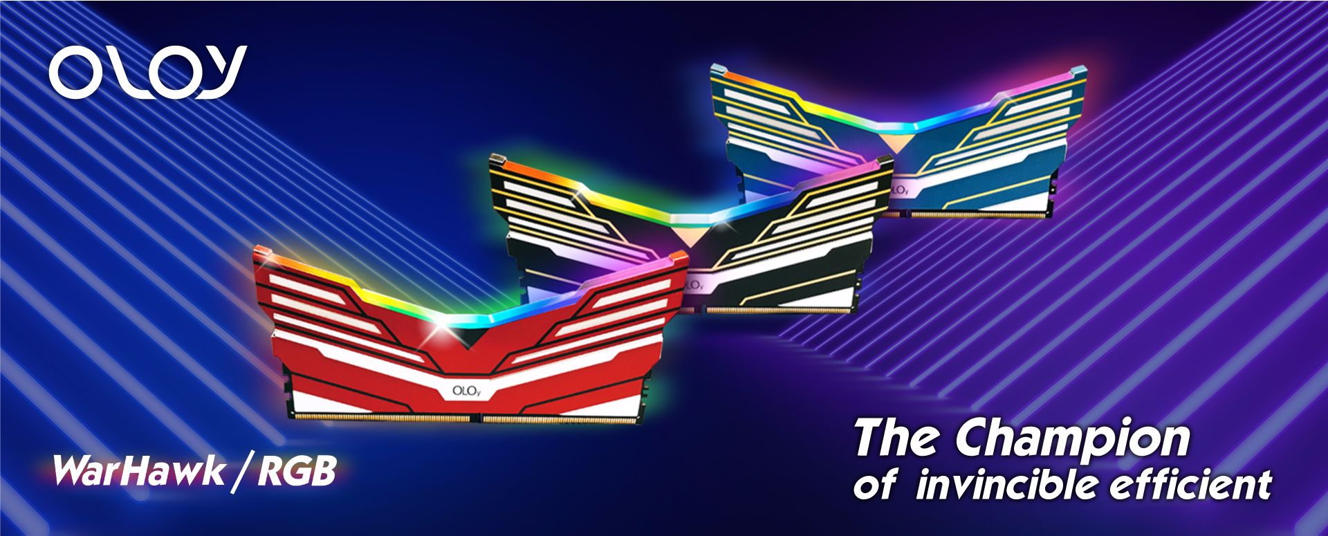 OLOy Memory - www.oloymemory.com